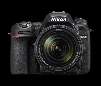 Nikon D7500 Review - All You Need to Know about this Camera